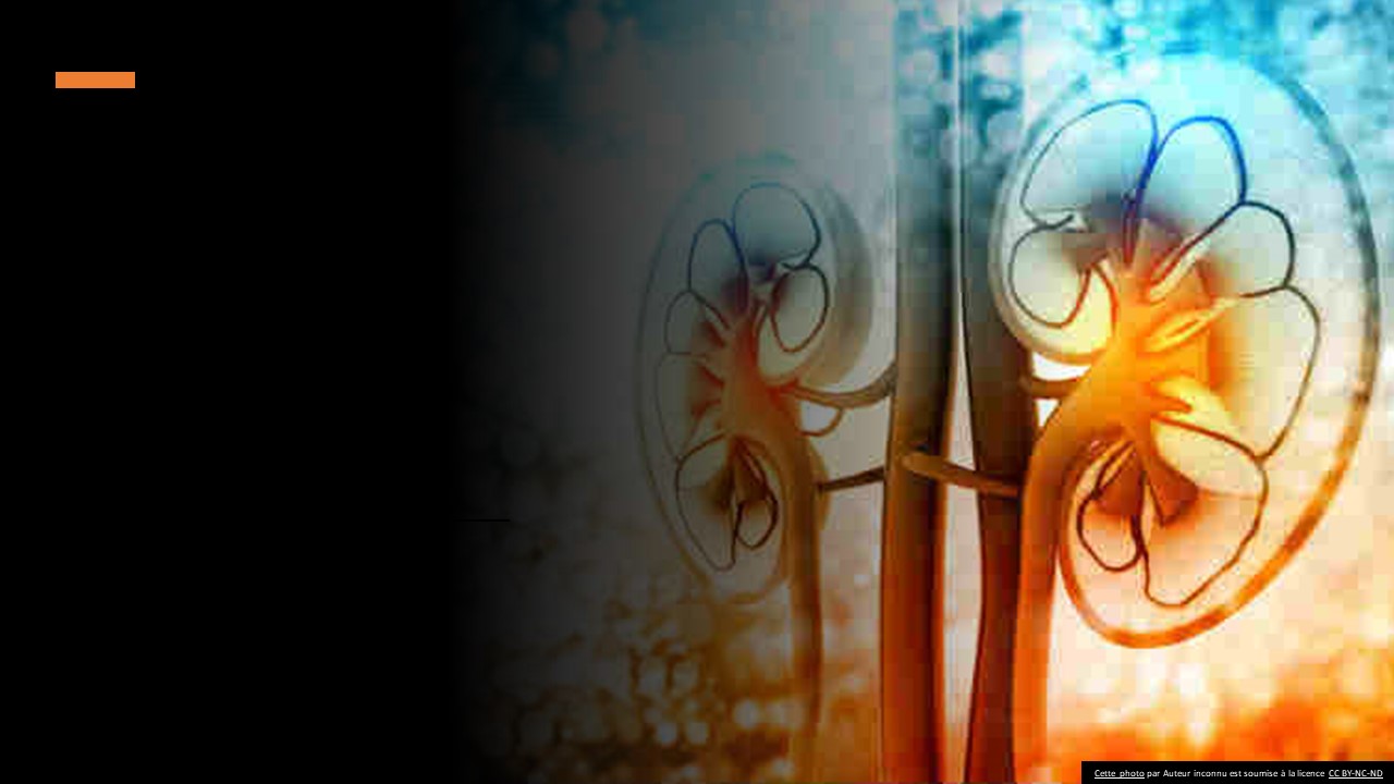 M2046-1 | Cyberlearn